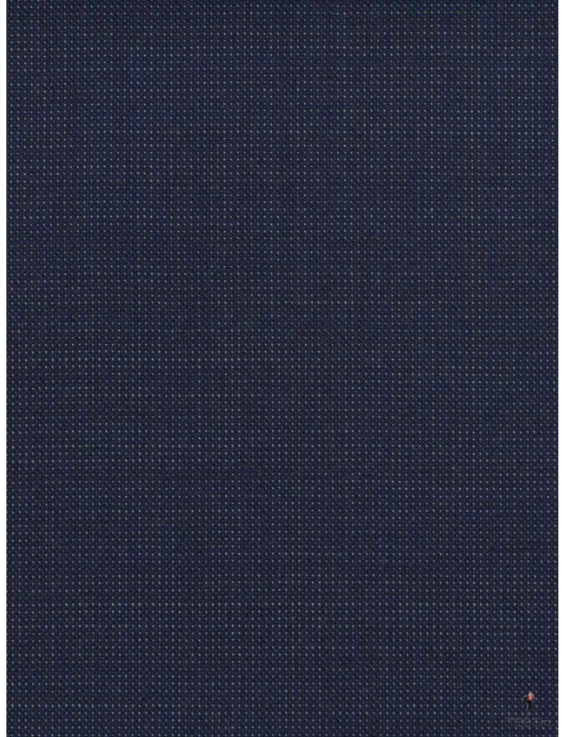 Traveller 4 Seasons Fabric PinPoint Dark Blue Ermenegildo Zegna EZ-M257 ...